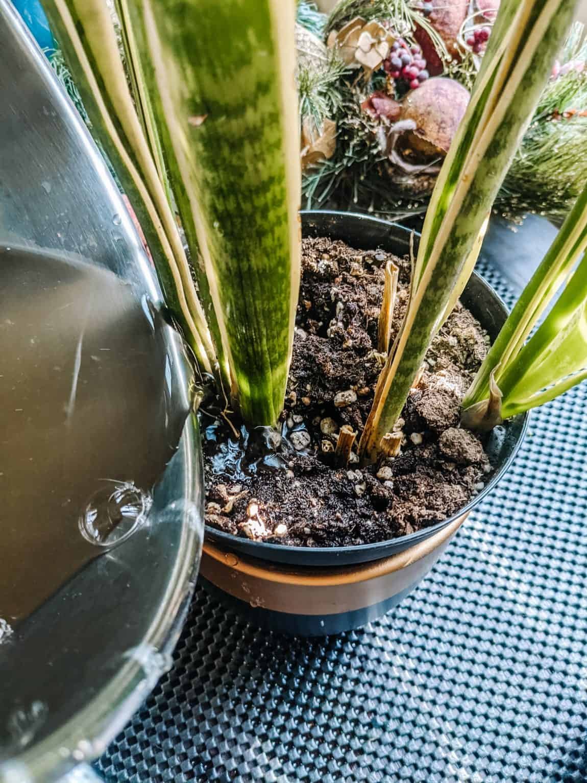 8 Ways The Water Usage Per Person Can Be Reduced - Manifesting Serenity