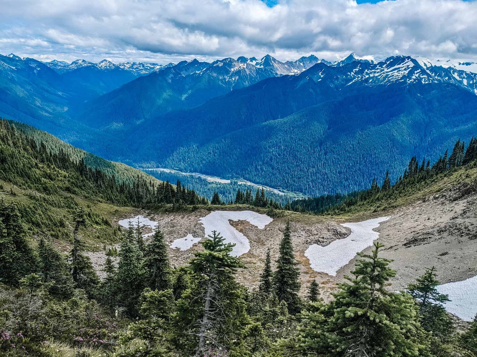 A Guide To Backpacking Washington’S Olympic National Park - 7 Lakes ...