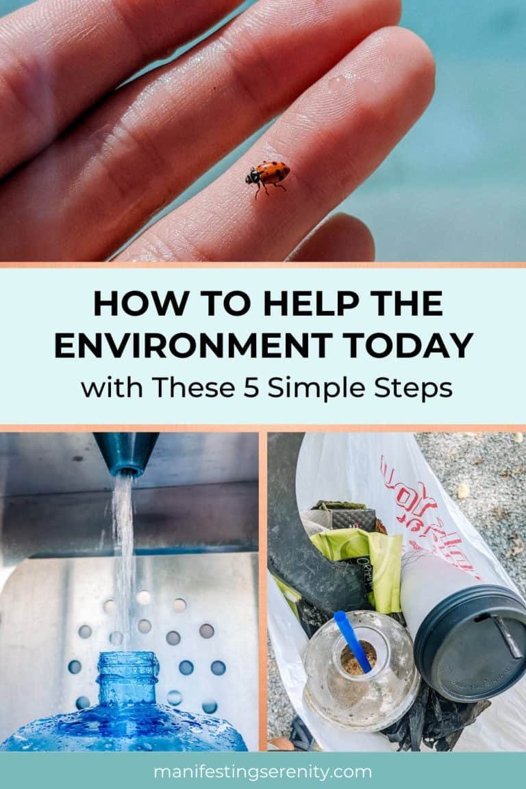 How To Help The Environment Today With These 5 Simple Steps ...