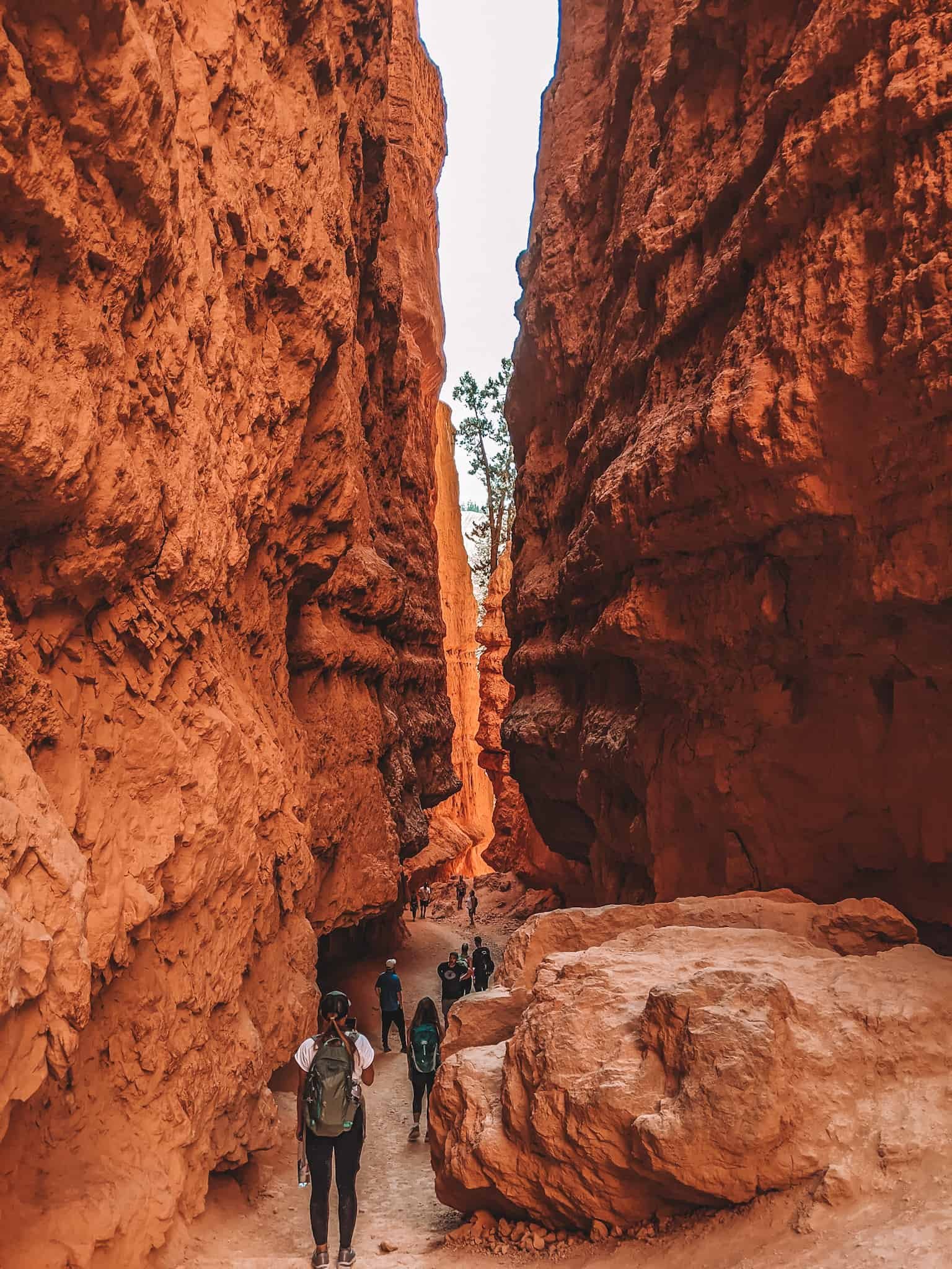 A Complete Guide To Visiting Bryce National Park: The National Park ...