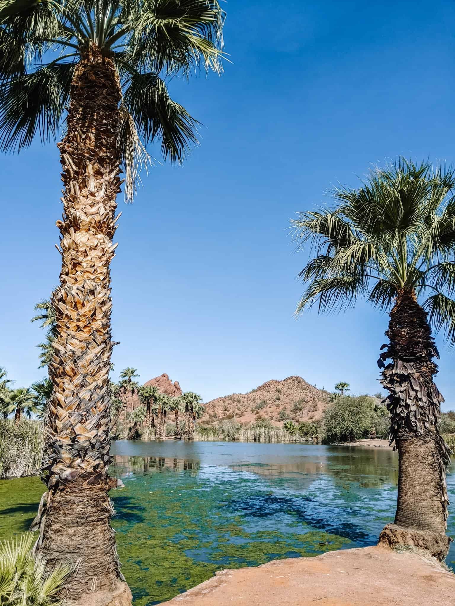 Best Places For Hiking In Phoenix And Surrounding Areas In Arizona- I ...